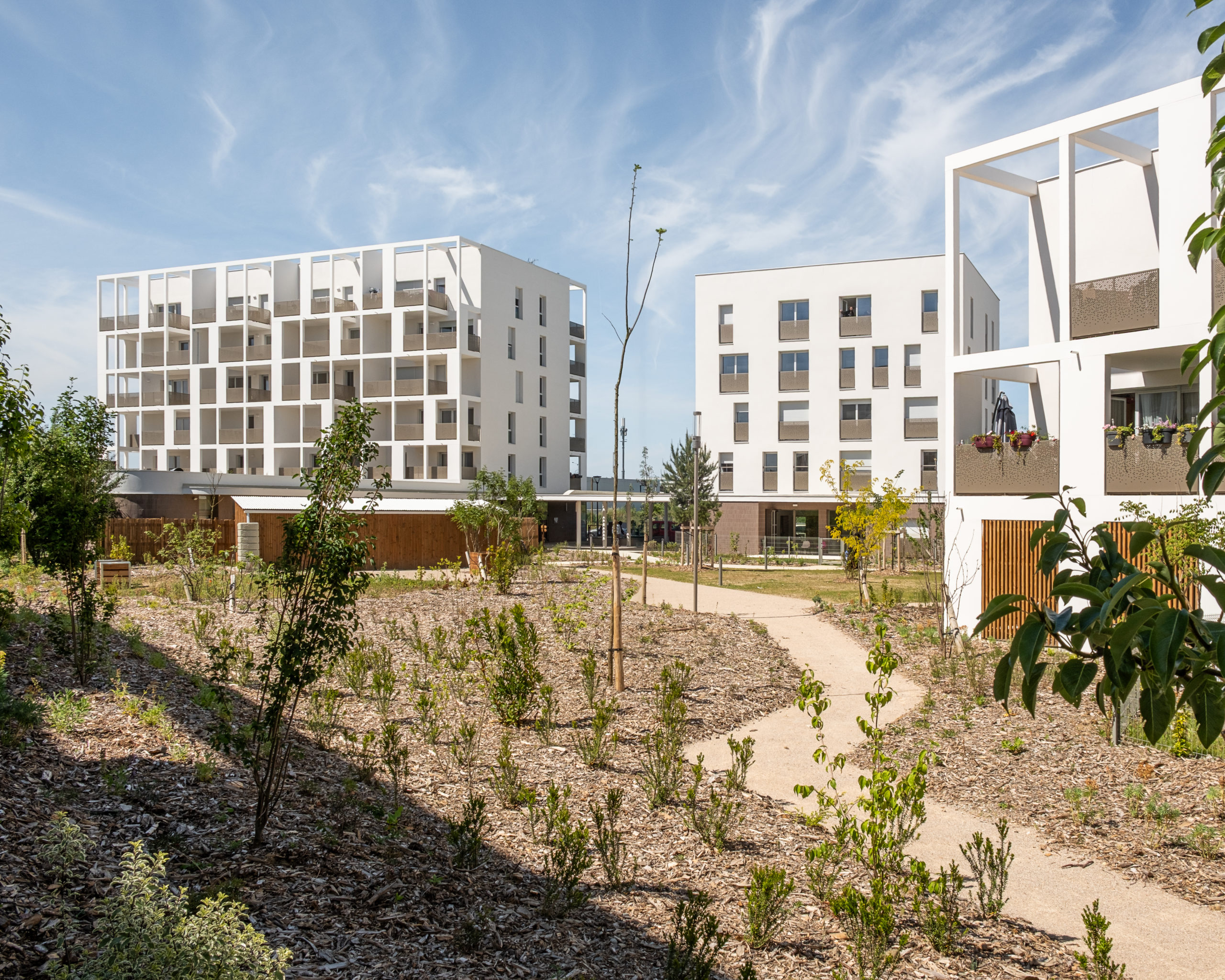 Résidence sociale intergénérationnelle – oeco architectes
